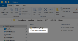 SAP GUI: Understanding SAP GUI Historical Data – SAP Zero to Hero