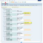 LSMW: BATCH INPUT RECORDING (PARTNER PROFILES EXAMPLE step by step ...