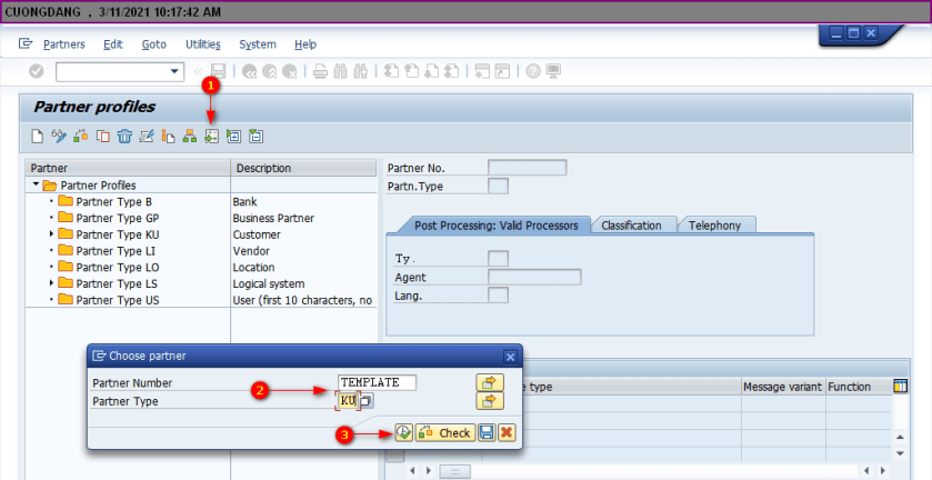 LSMW: BATCH INPUT RECORDING (PARTNER PROFILES EXAMPLE step by step ...